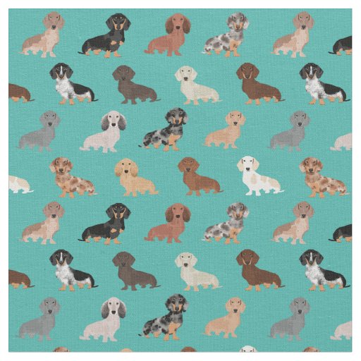 Dachshund dogs fabric | Zazzle