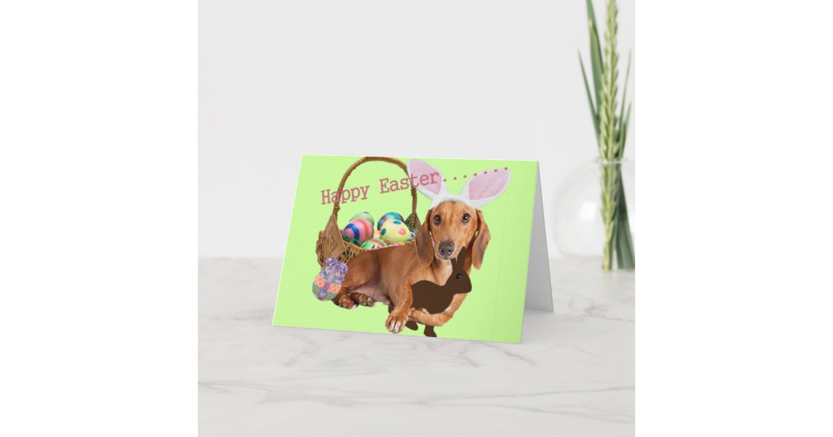 Dachshund Easter Cards | Zazzle