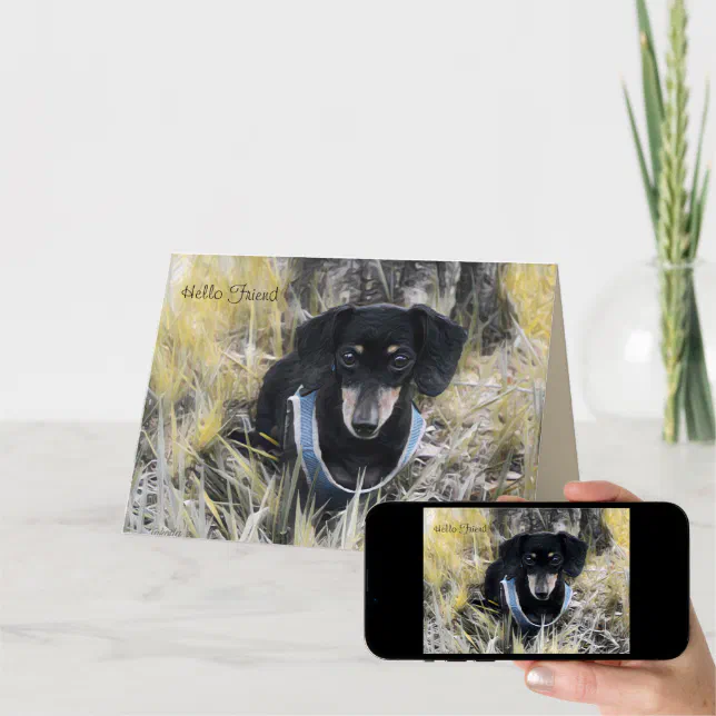 Dachshund Greeting Card | Zazzle