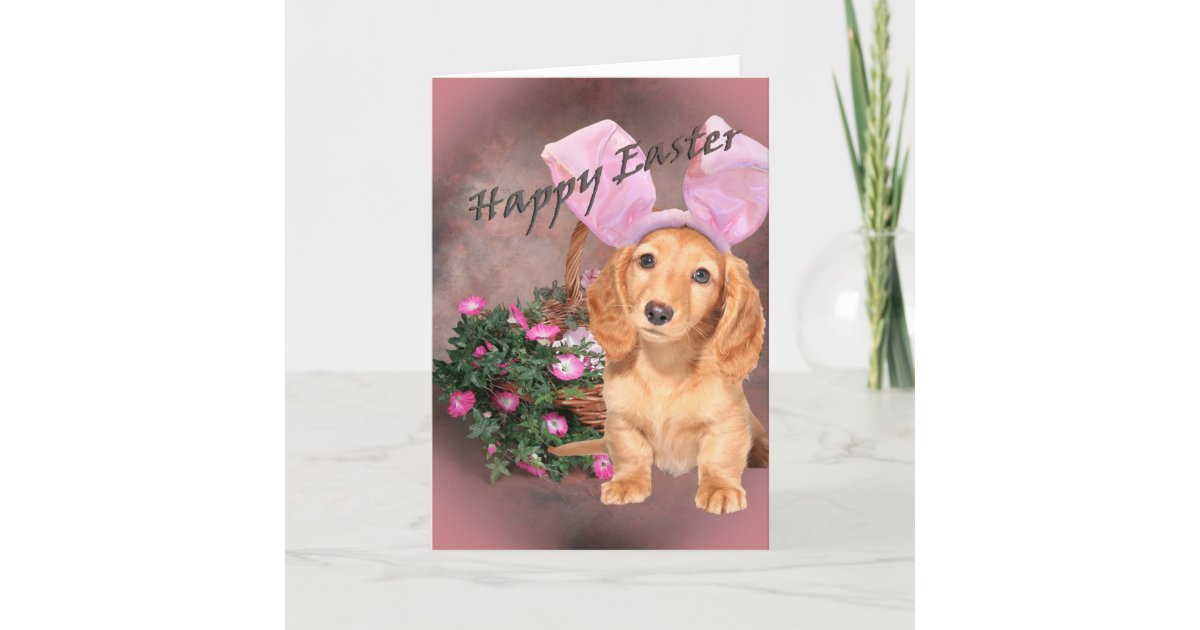 Dachshund Happy Easter Holiday Card | Zazzle
