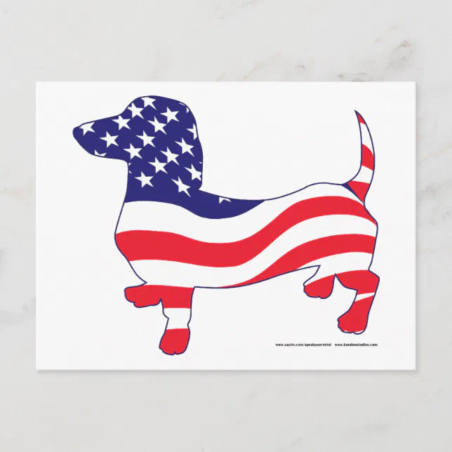 Dachshund in the American Flag Postcard | Zazzle