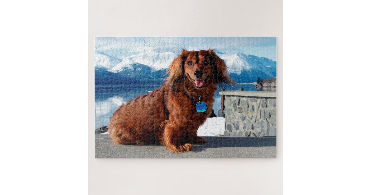Dachshund Jigsaw Puzzle | Zazzle
