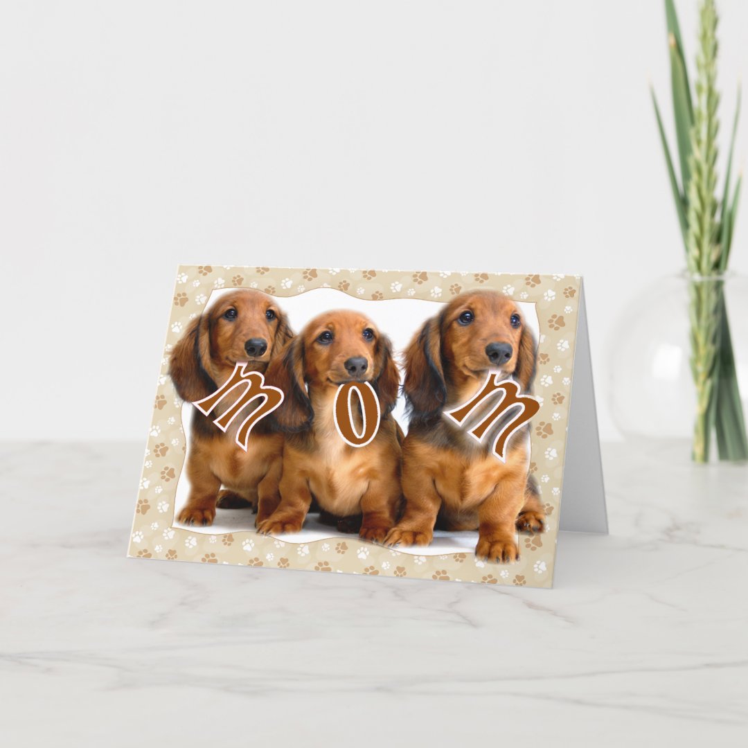 DACHSHUND MOM CARD | Zazzle