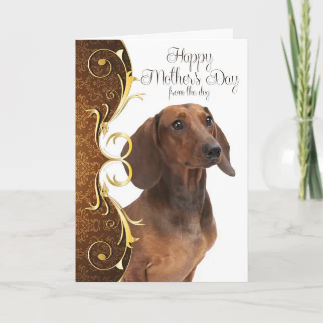 Dachshund Mother's Day Card | Zazzle