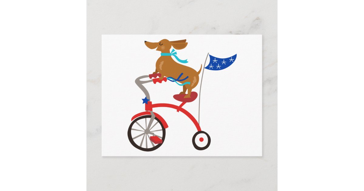Dachshund on Bike Postcard | Zazzle