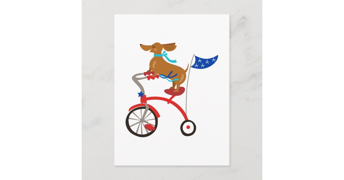 Dachshund On Bike Postcard | Zazzle