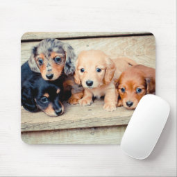 Dachshund Puppies Mouse Pad | Zazzle