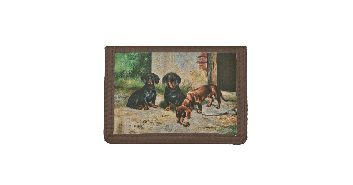 Dachshund Puppies wallet | Zazzle