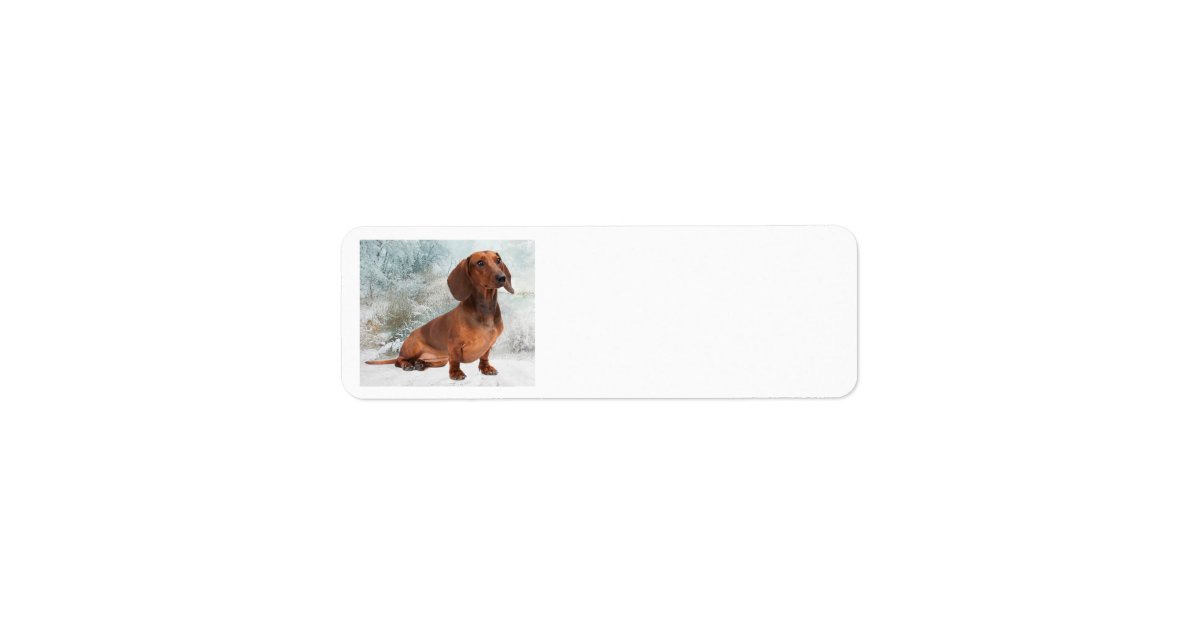 Dachshund Return Address Label | Zazzle