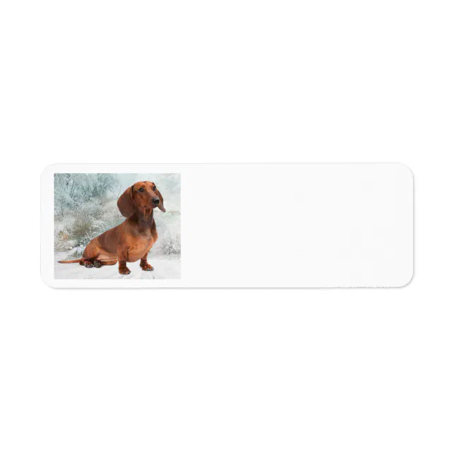 Dachshund Return Address Label | Zazzle