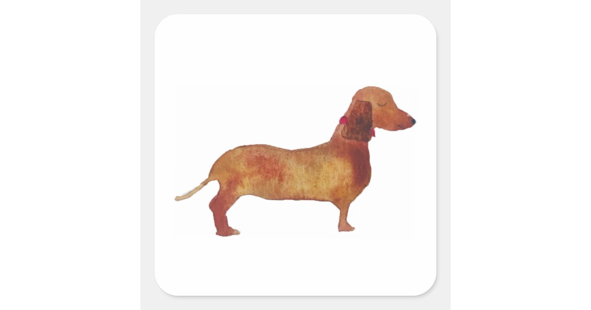 Dachshund Stickers | Zazzle