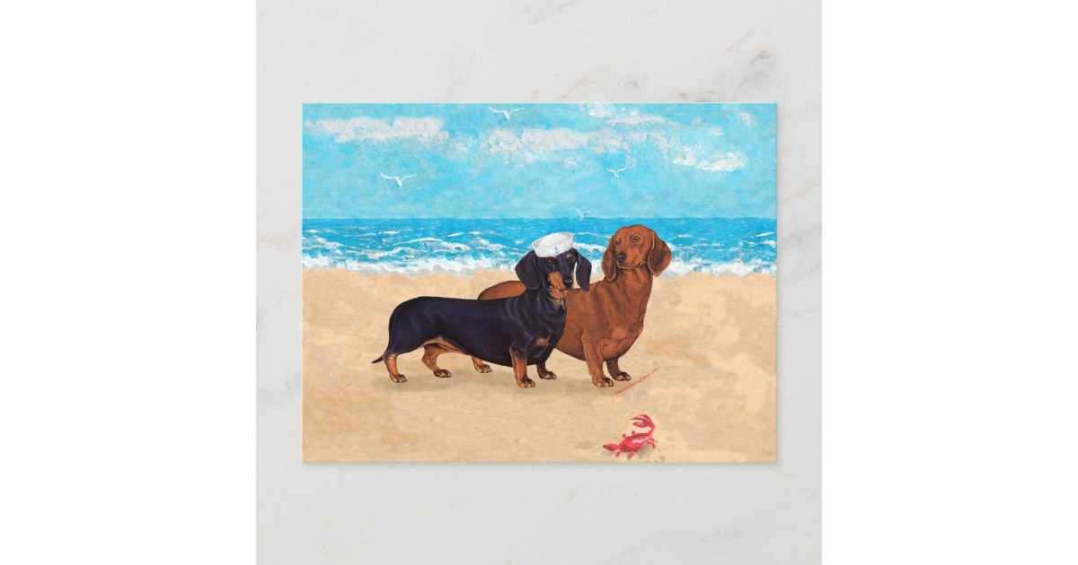 Dachshunds at the Beach Postcard | Zazzle