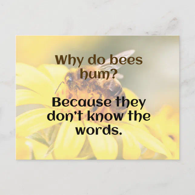 DAD JOKE: Bee Humor Postcard | Zazzle