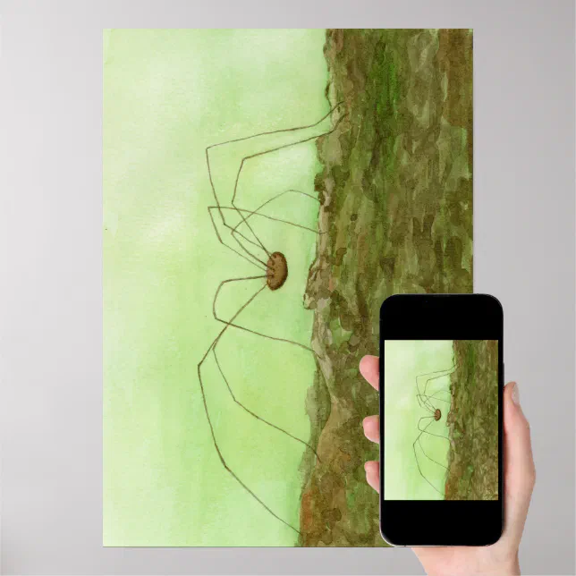Daddy Long Legs Poster | Zazzle