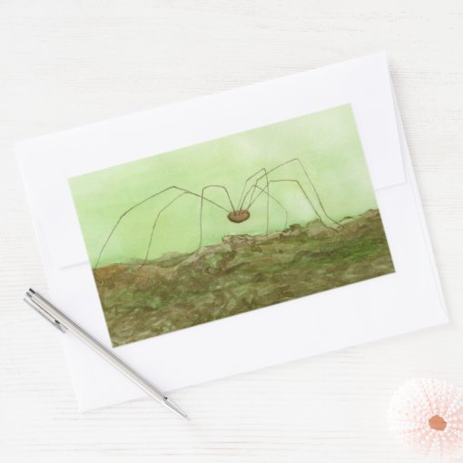 Daddy Long Legs Rectangular Sticker | Zazzle