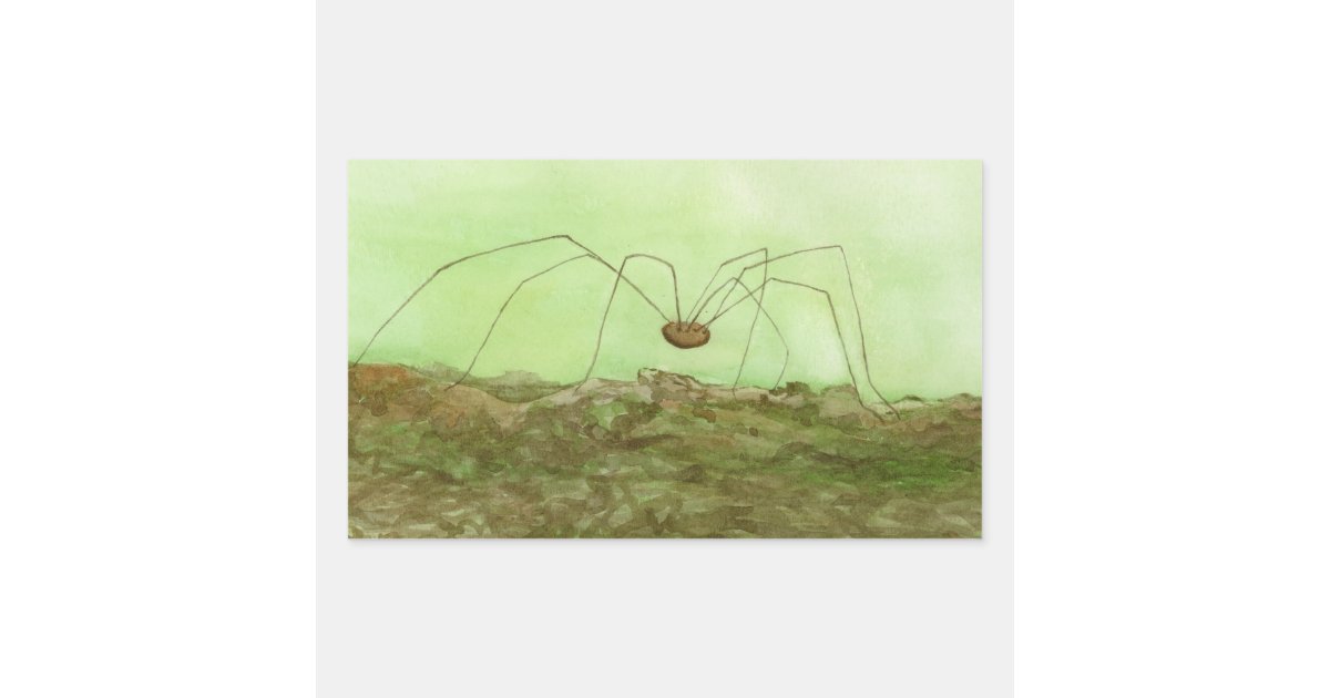 Daddy Long Legs Rectangular Sticker | Zazzle
