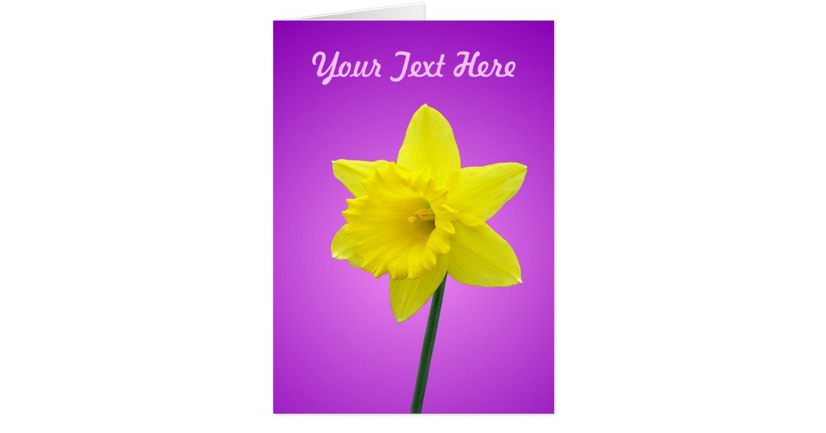 Daffodil Card - Template | Zazzle