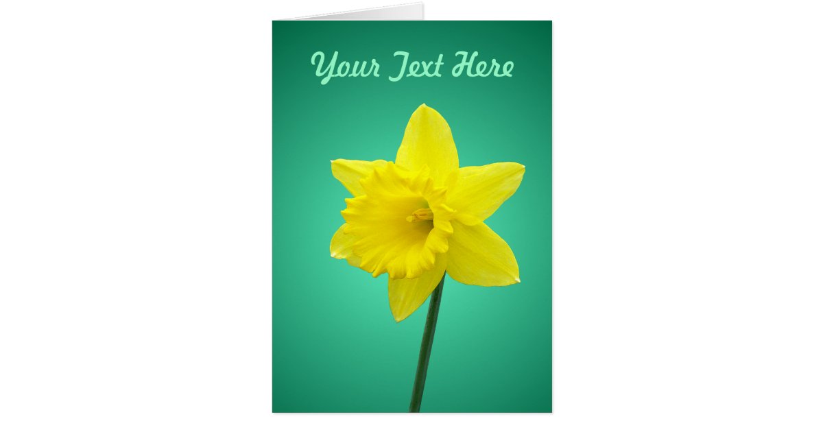 Daffodil Card - Template II | Zazzle