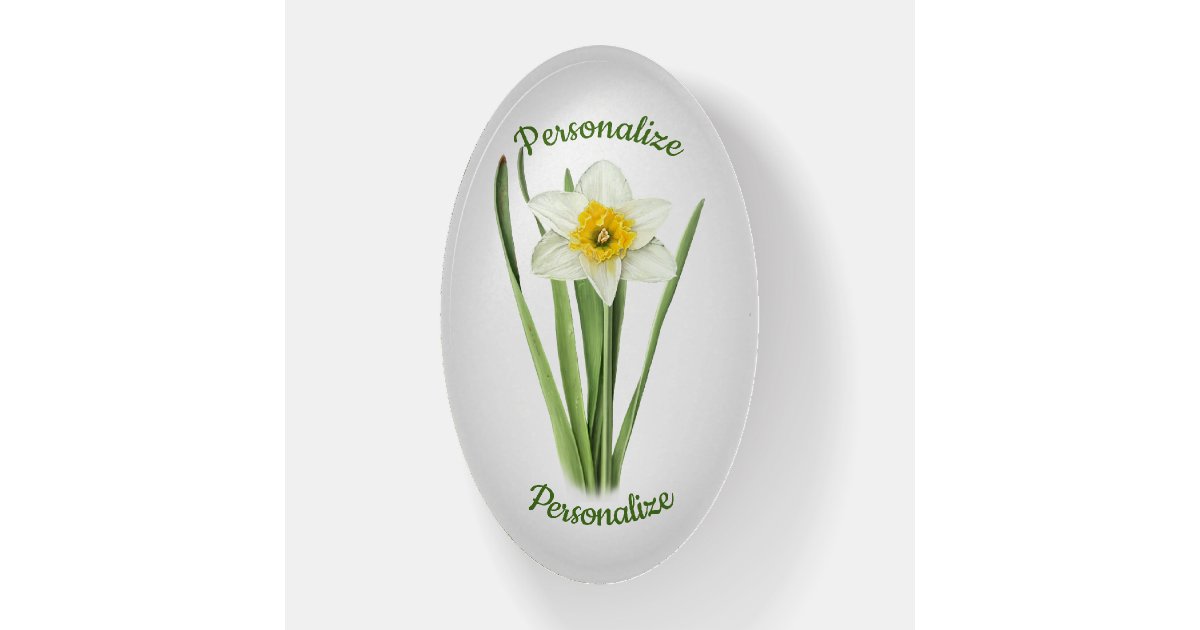 Daffodil Flower Personalized Paperweight | Zazzle