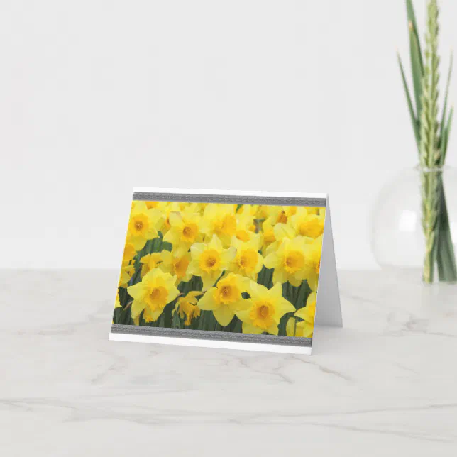 DAFFODIL NOTE CARDS | Zazzle