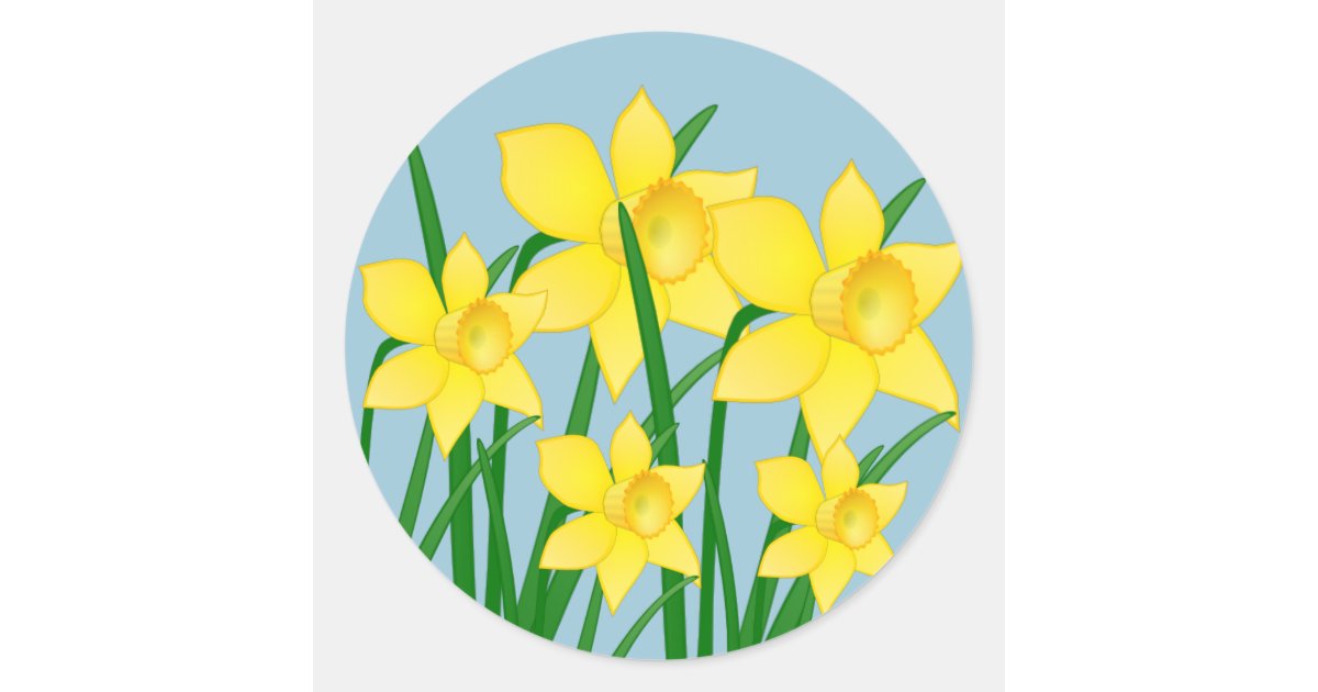 Daffodils Stickers | Zazzle
