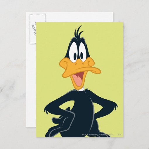 DAFFY DUCK™ POSTCARD | Zazzle