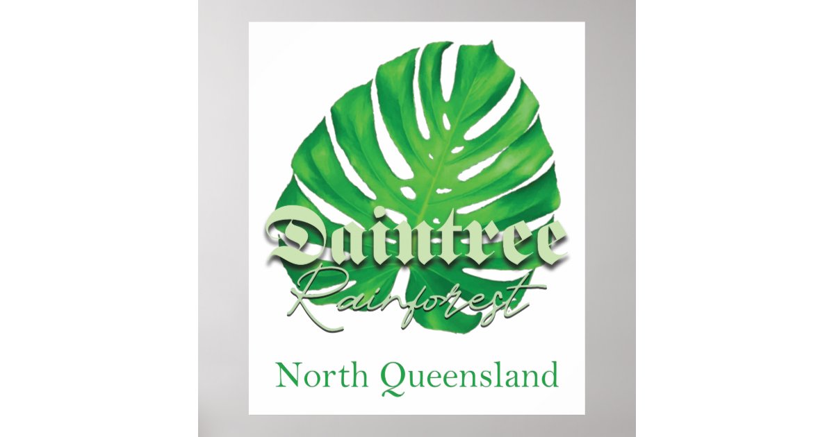Daintree Rainforest Poster | Zazzle