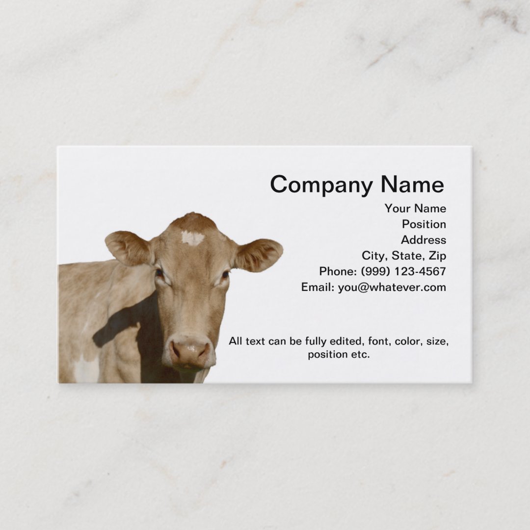 Dairy Cow Business Card | Zazzle