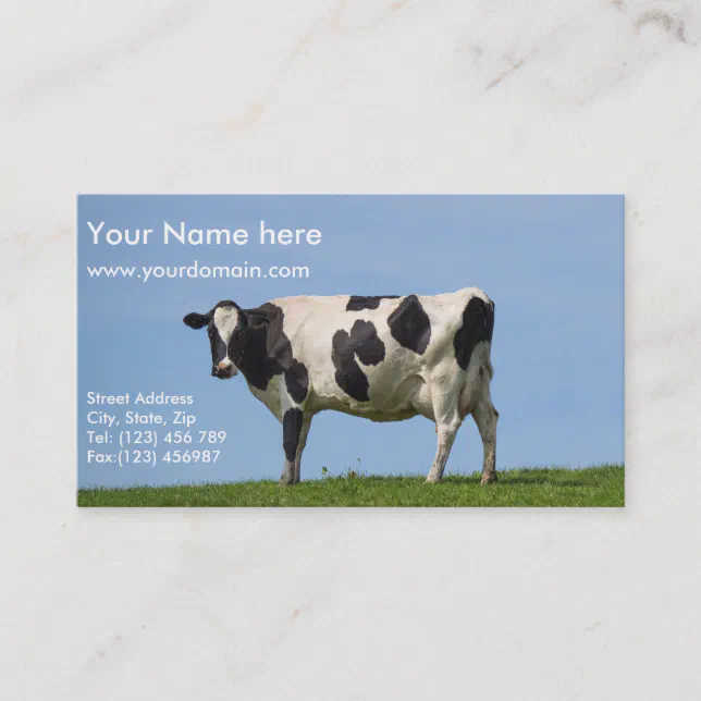 dairy cow business card | Zazzle