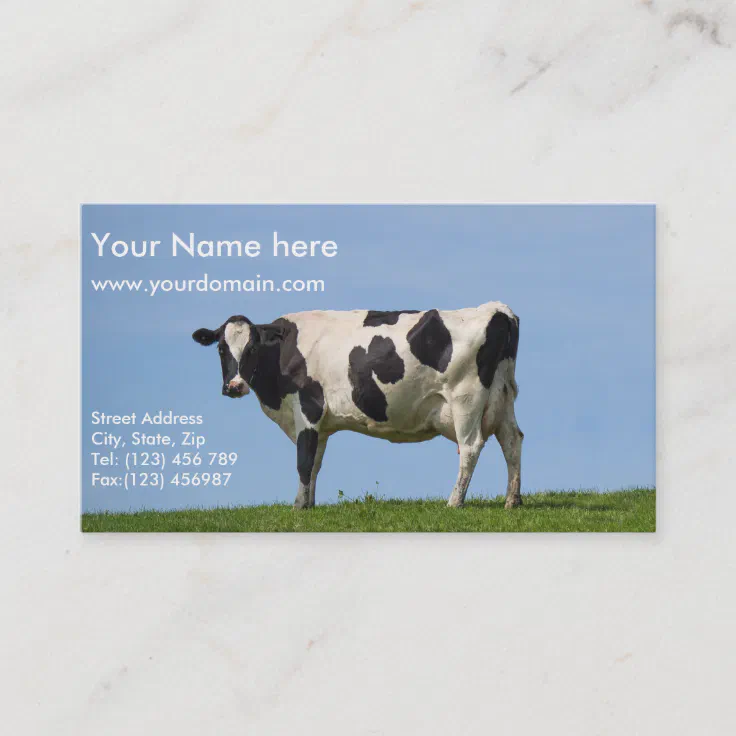dairy cow business card | Zazzle
