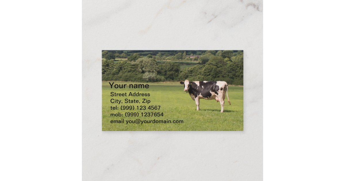 Dairy Cow business card | Zazzle