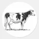 Dairy Cow Holstein Fresian Pencil Drawing Classic Round Sticker | Zazzle