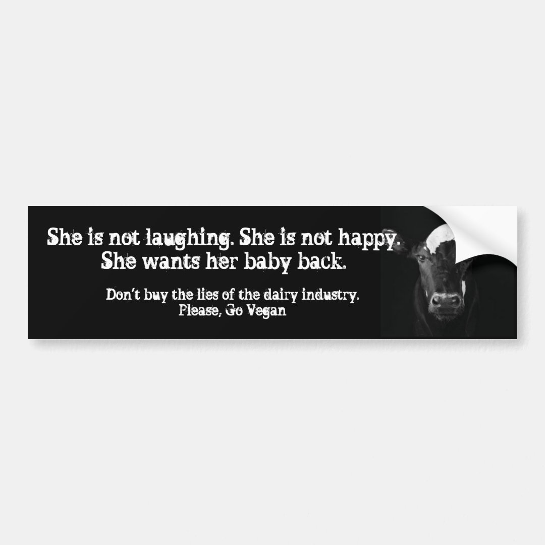Dairy Lies Bumper Sticker | Zazzle