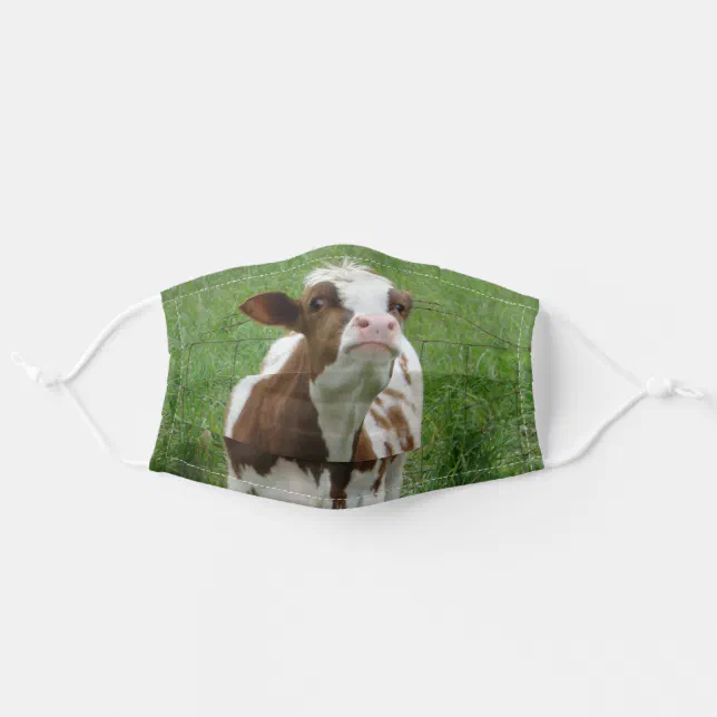 Dairy Milk Cow on the Farm Adult Cloth Face Mask | Zazzle