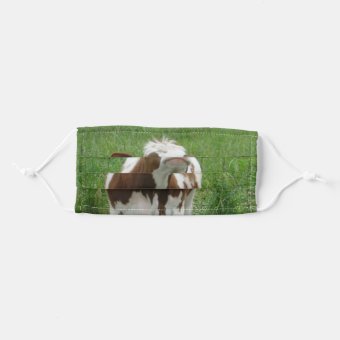 Dairy Milk Cow on the Farm Adult Cloth Face Mask | Zazzle