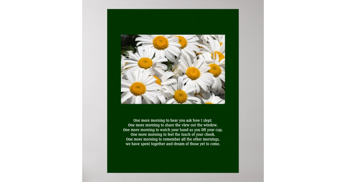Daisies and a Poem Poster | Zazzle