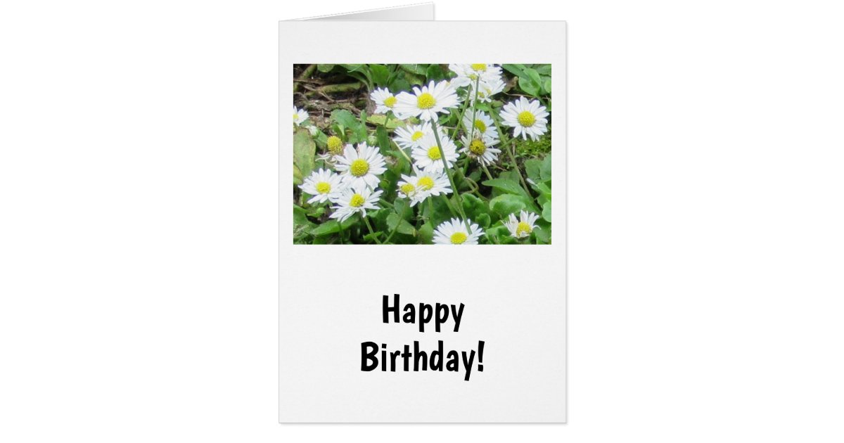 Daisies Birthday Card | Zazzle