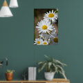 Daisies in Spring Poster | Zazzle