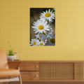 Daisies in Spring Poster | Zazzle