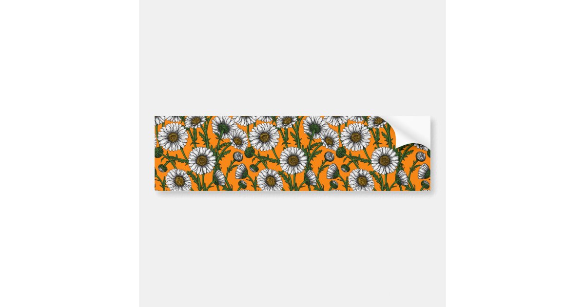 Daisies on orange bumper sticker | Zazzle