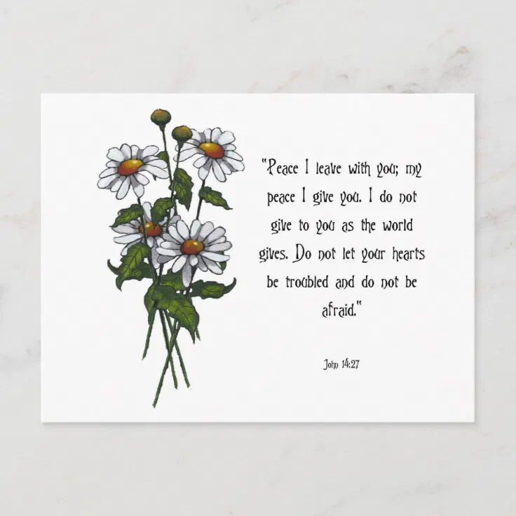 Daisies With Bible Verse: God's Peace Postcard | Zazzle