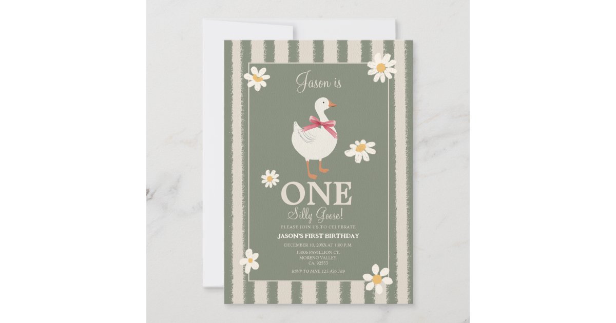 Daisy Boys Silly Goose Themed Birthday Invite | Zazzle
