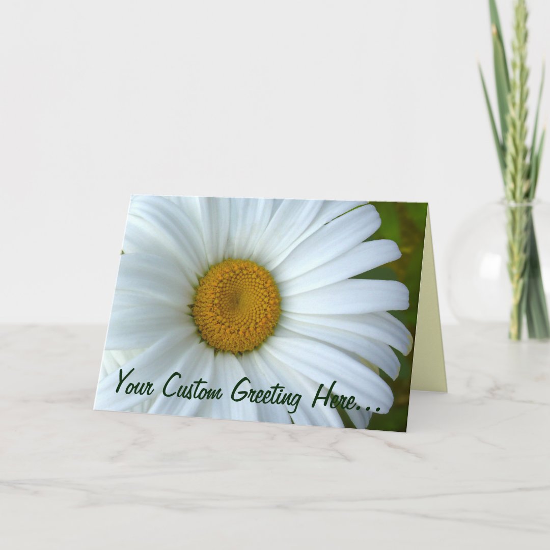 Daisy Card Wild Flowers Custom Greeting Cards | Zazzle