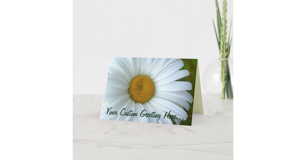 Daisy Card Wild Flowers Custom Greeting Cards | Zazzle