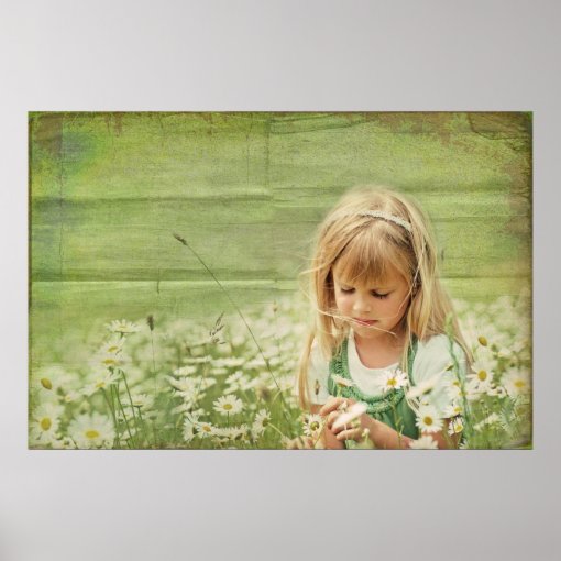 Daisy Daydreams Poster | Zazzle