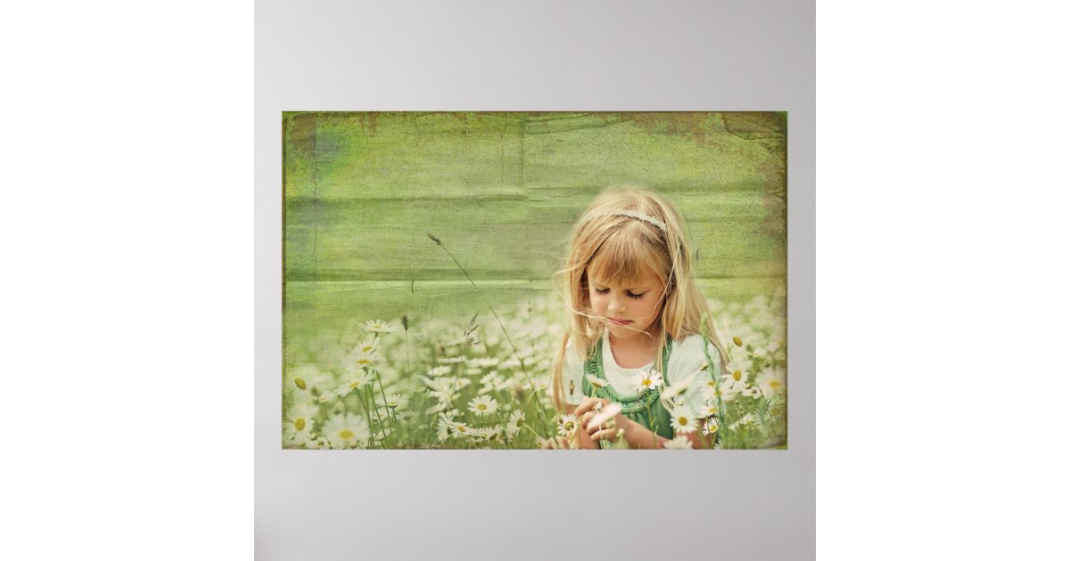 Daisy Daydreams Poster | Zazzle
