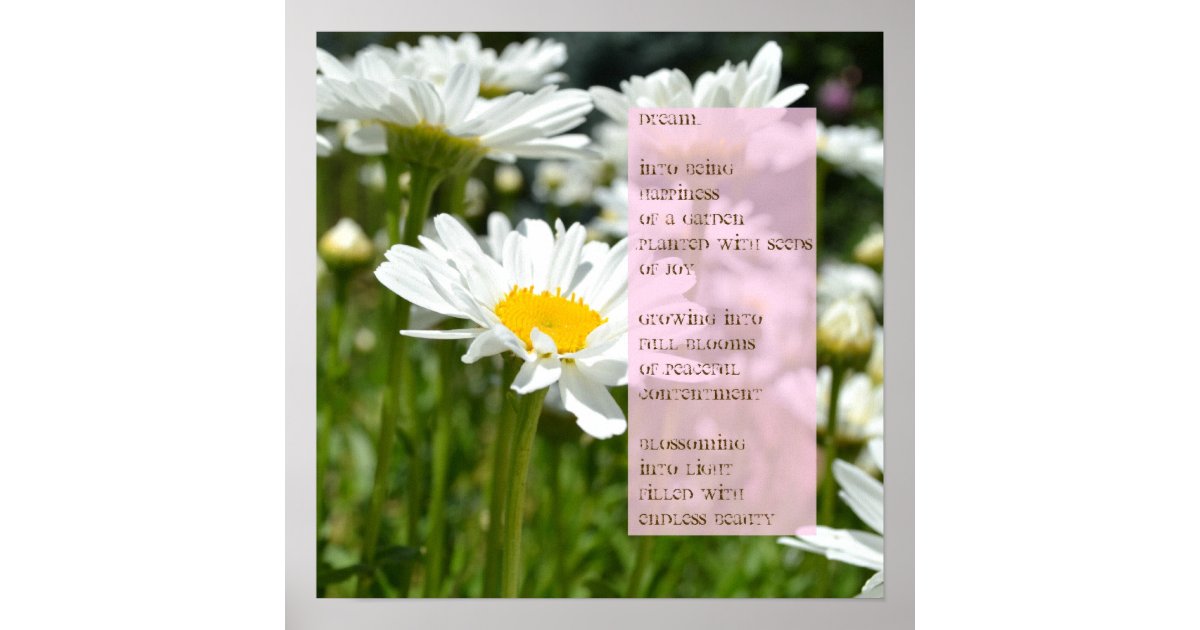 Daisy Dream Poem Poster | Zazzle
