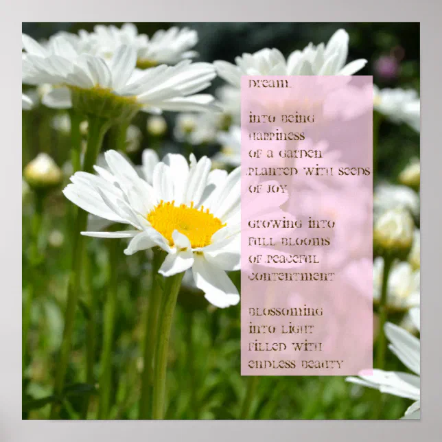 Daisy Dream Poem Poster | Zazzle