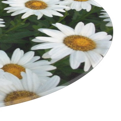 Daisy Field Glass Cutting board | Zazzle