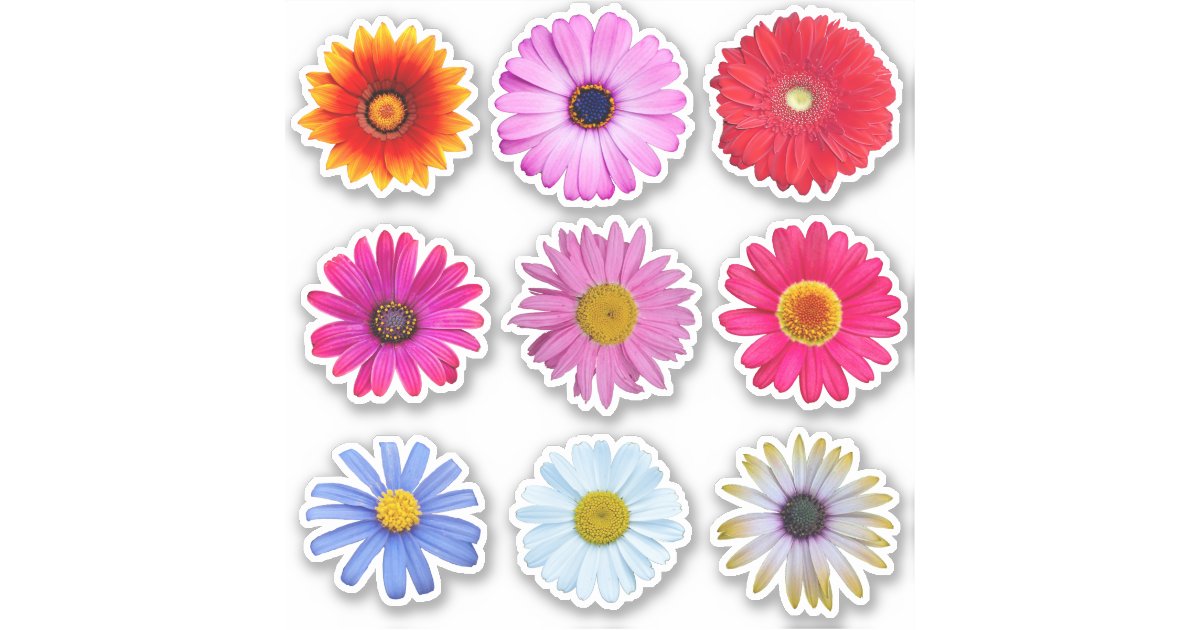 Daisy Flowers Vinyl Sticker | Zazzle